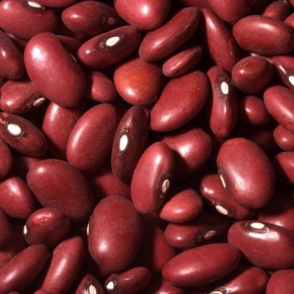 Fagioli rossi - Calabria - Giardino Digitale